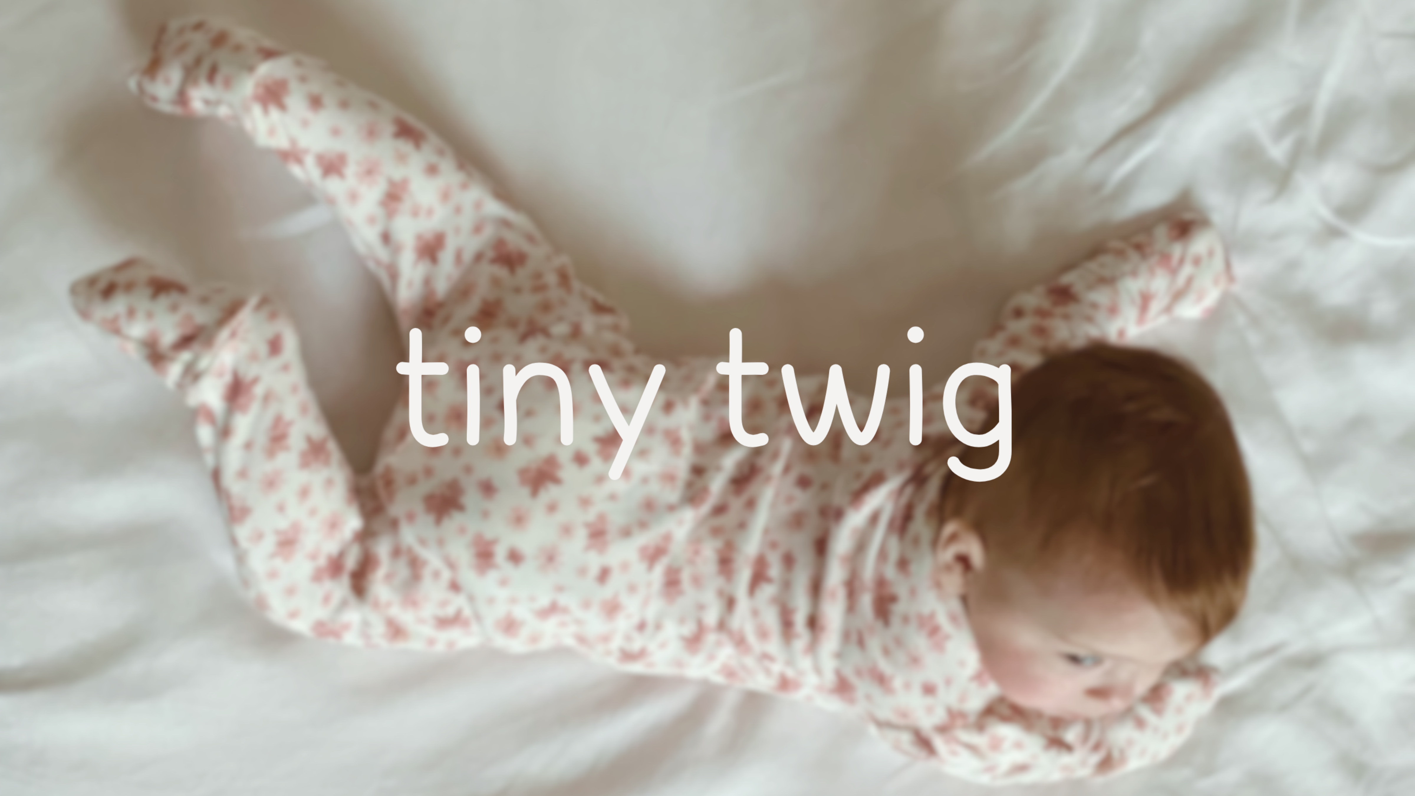 New Collection – Tiny Twig